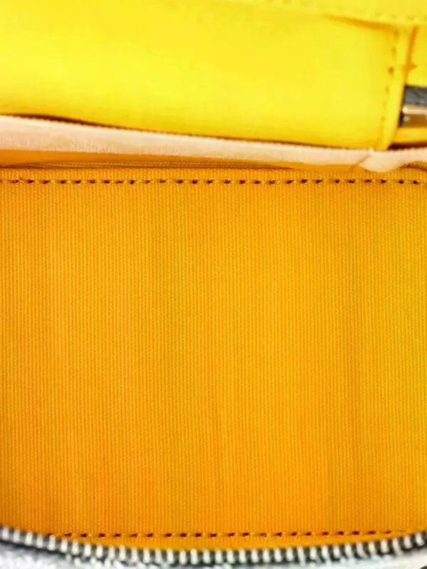 Goyard Muse Vanity Case Coated Canvas Nano Satchel
