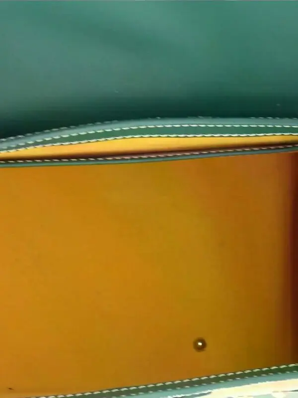 Goyard Coated Canvas With Leather Saigon Pm Satchel - Green