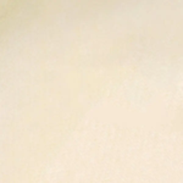 Loretta Caponi Wool Garden Of Eden Throw - Ivory