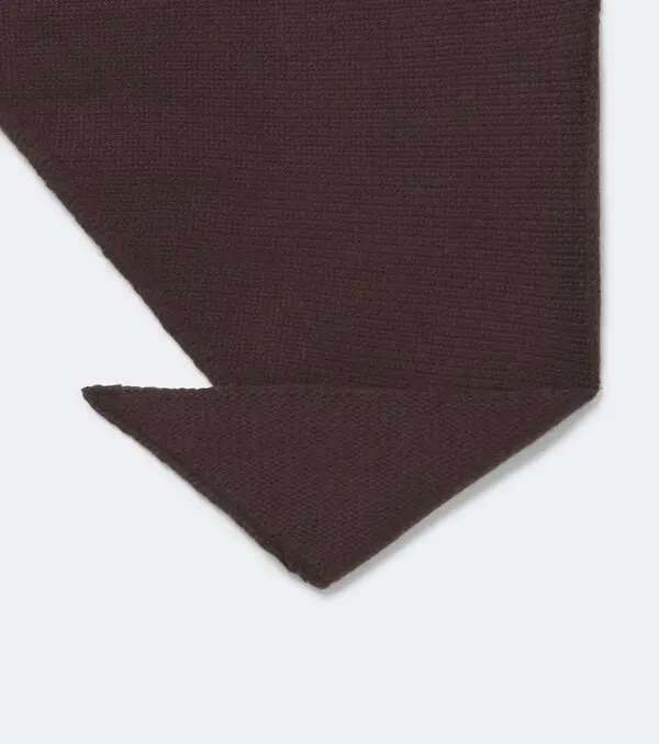 YVES SALOMON Cashmere Scarf - Brown