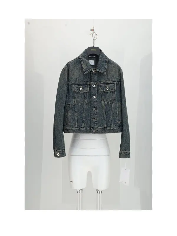 Dior Denim Oblique Jacket