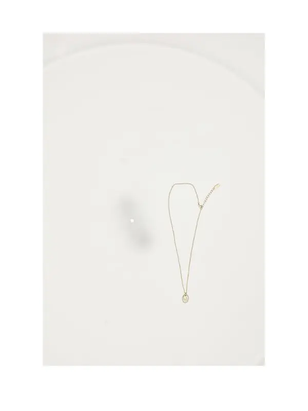 Dior Oblique Necklace