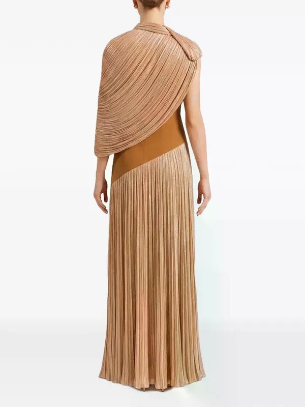 V:PM ATELIER Pleated Cape-effect Maxi Dress - Brown