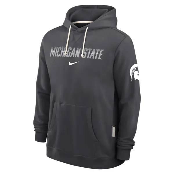 Nike Michigan State Sideline Standard Issue Dri-fit College Pullover Hoodie - Grey