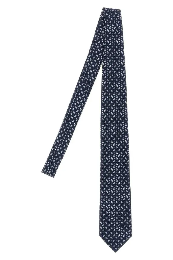 Brioni Micro-paisley Tie - Blue