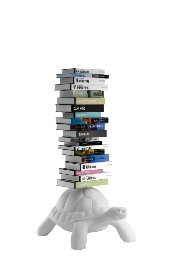 QEEBOO Turtle Carry Bookshelf' Bookshelf