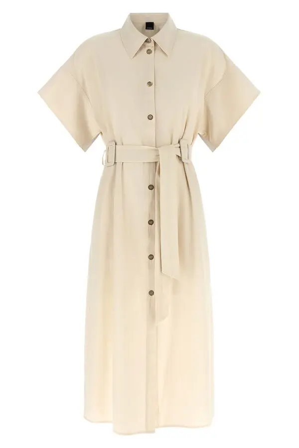 Pinko Alesha Dress