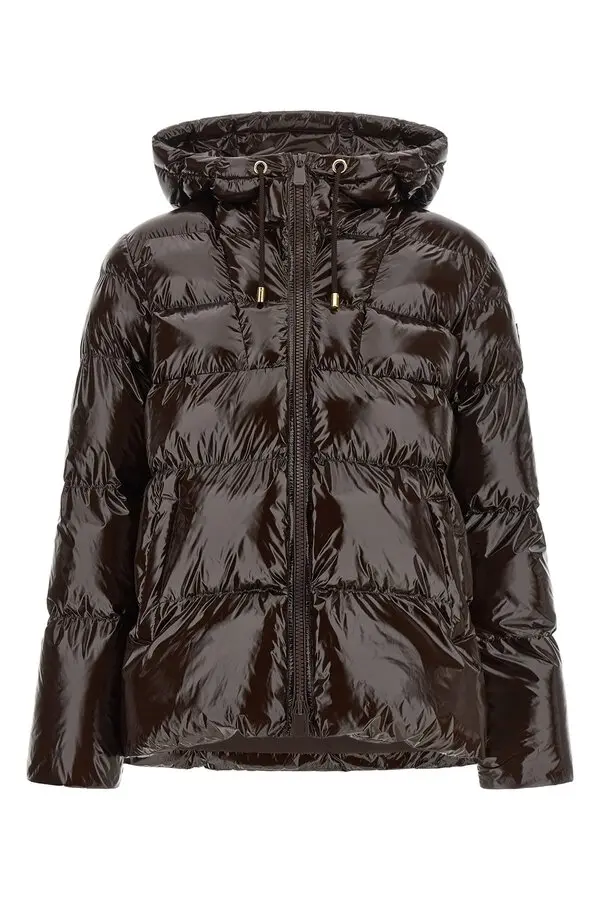 Pinko Eleodoro Down Jacket - Brown