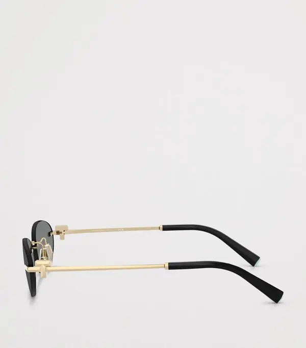Tiffany & Co. Metal Tf3119d Oval Sunglasses