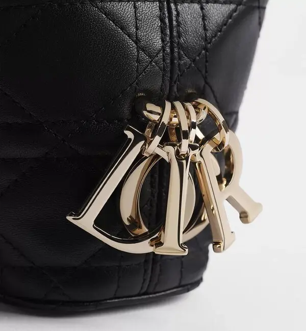Dior Mini Toujours Hobo Bag