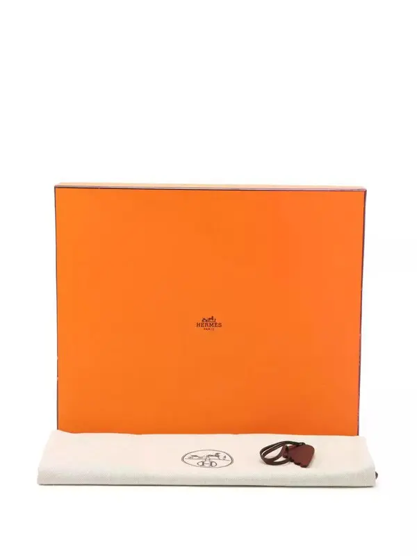 Hermès 2022 Toile Sac Steeple 25 Handbag
