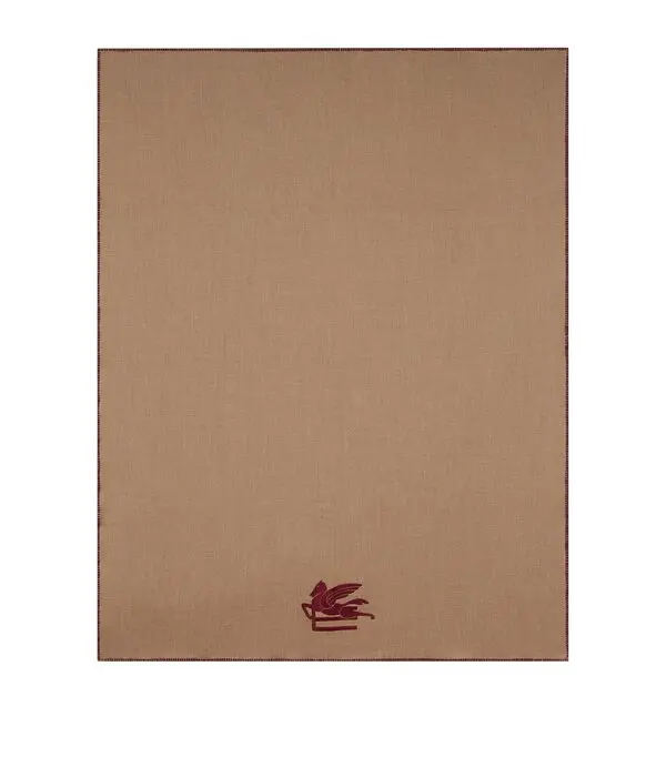 Etro Wool Alisso Throw - Brown