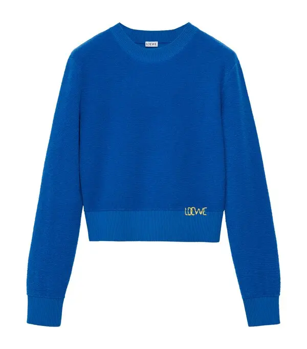 Loewe Stretch-wool Embroidered Sweater
