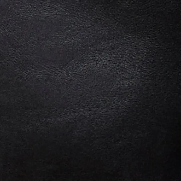 Loewe Lambskin Biker Jacket