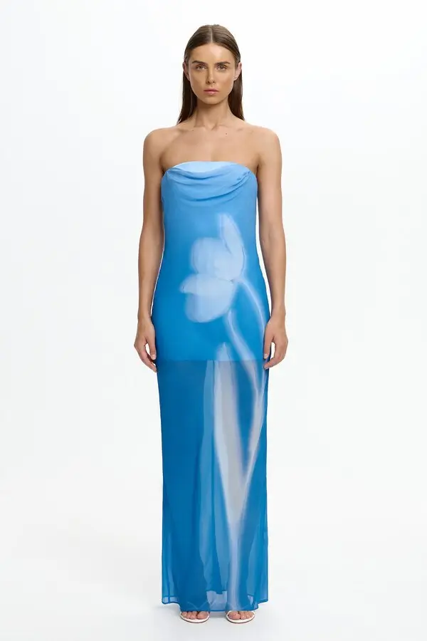 Significant Other Zhavia Strapless Maxi Dress - Dancing Tulip