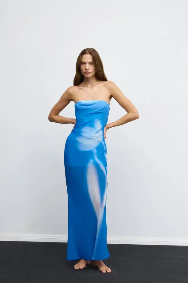 Significant Other Zhavia Strapless Maxi Dress