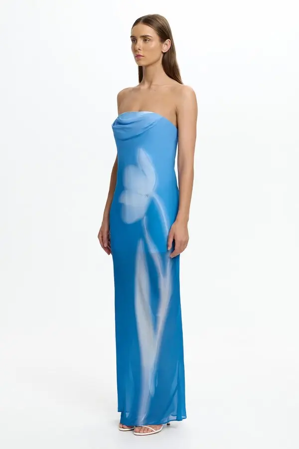 Significant Other Zhavia Strapless Maxi Dress