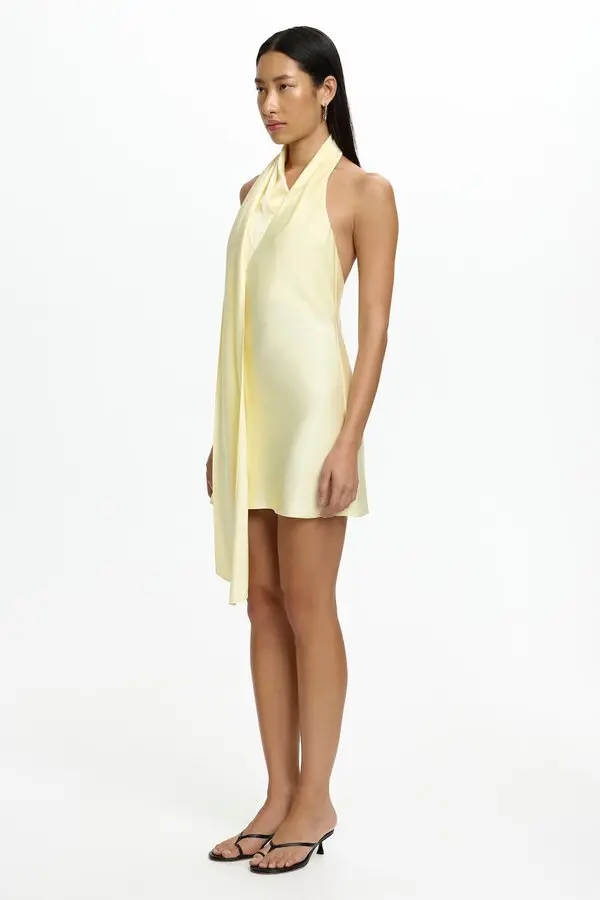 Significant Other Daira Mini Dress
