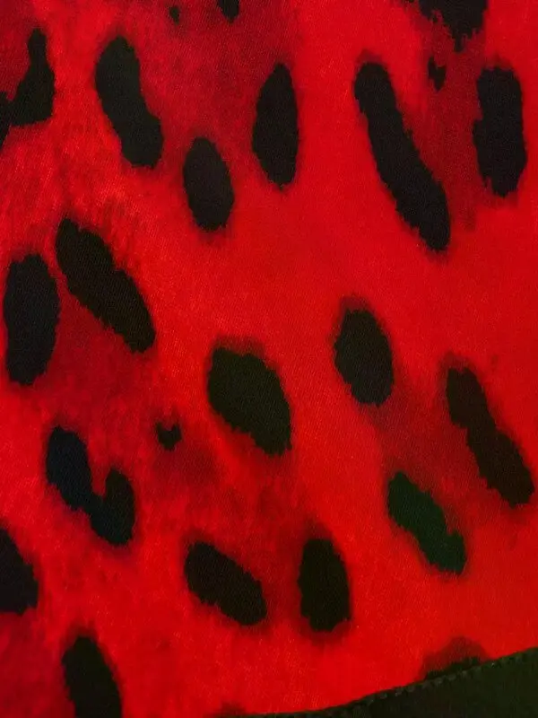 Dolce & Gabbana Leopard-print Fringed Scarf - Red