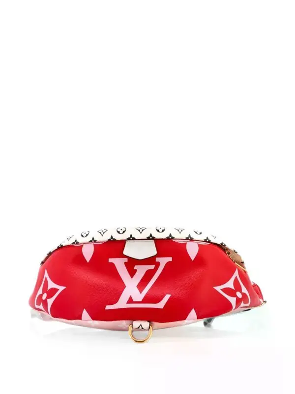 LOUIS VUITTON Monogram Giant Belt Bag