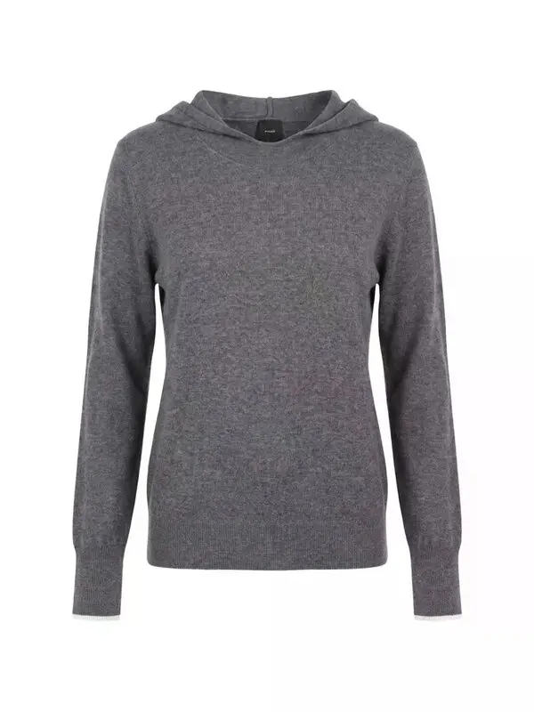 Pinko Wool Hooded Sweater