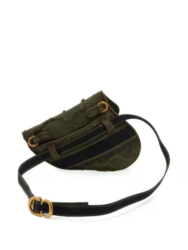 Dior 2019 Embroidered Canvas Belt Bag