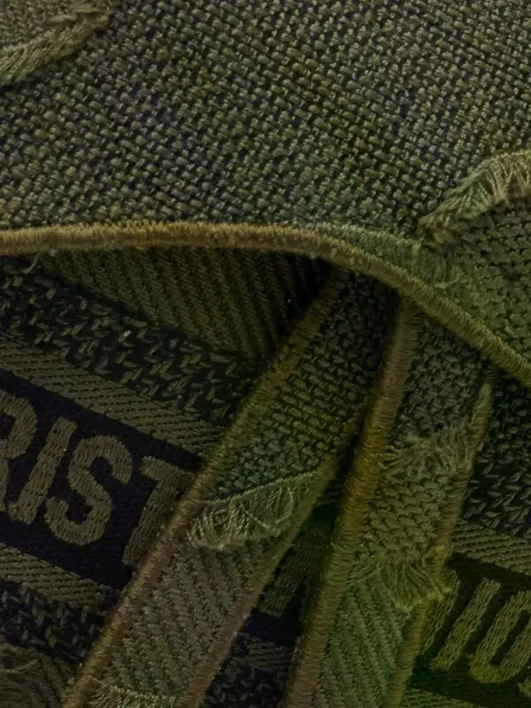 Dior 2019 Embroidered Canvas Belt Bag