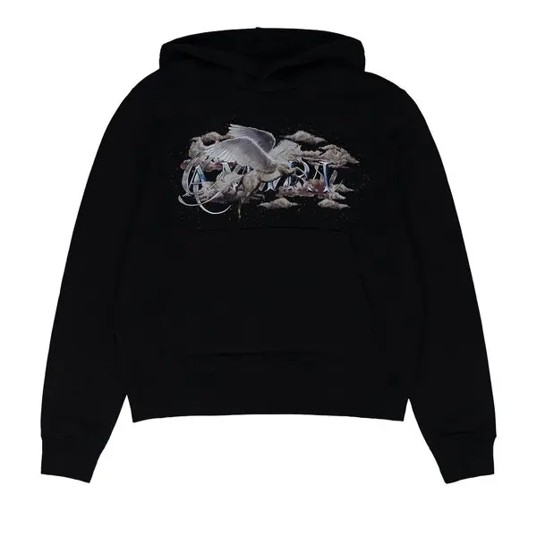Amiri Pegasus Script Hoodie