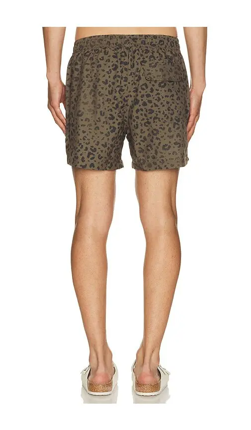 DUVIN DESIGN Club Swim Short - Leopard