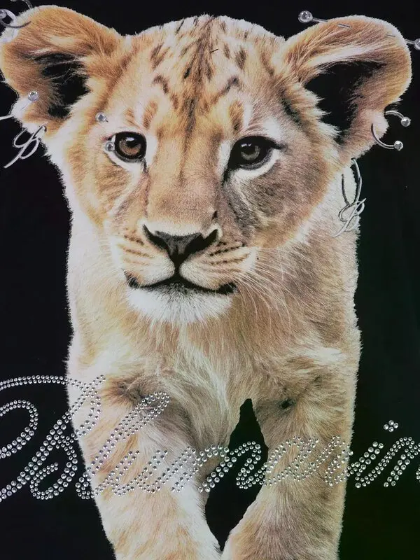 Blumarine Lion-print Crystal-embellished T-shirt - Black