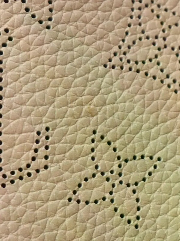 LOUIS VUITTON Monogram Mahina Why Not Pm Satchel - Neutrals