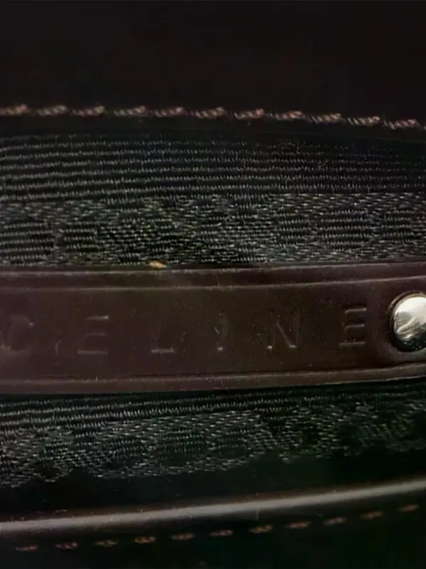 Celine 20th Century Boogie Handbag