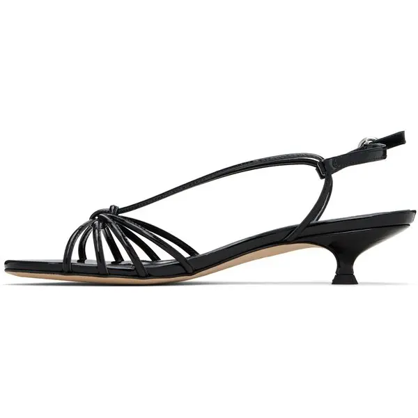 AeydĒ Amara Buckle Fastened Sandals - Black