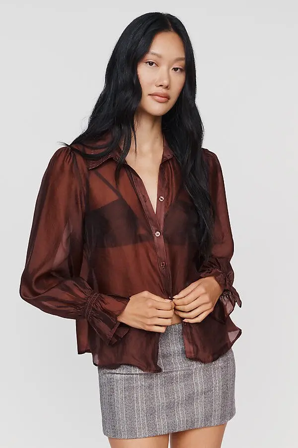 Anthropologie Sheer Buttondown Blouse - Brown