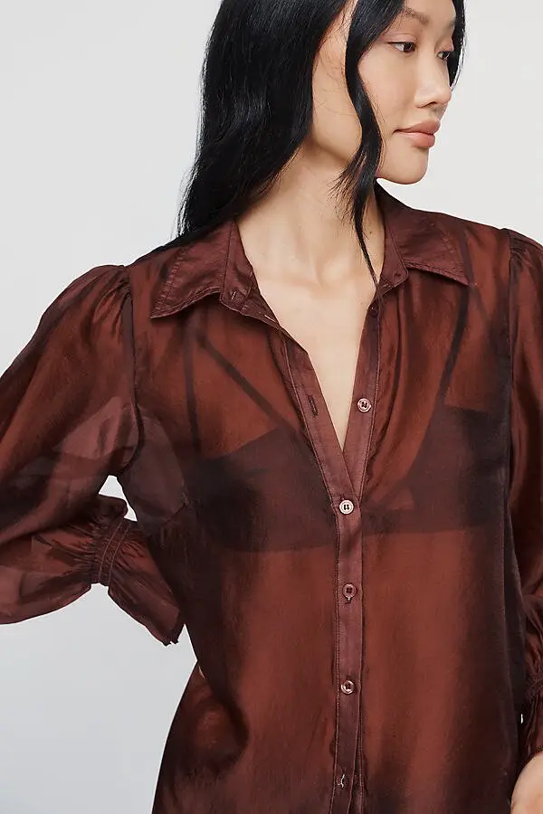 Anthropologie Sheer Buttondown Blouse - Brown