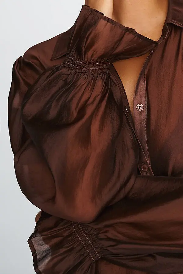 Anthropologie Sheer Buttondown Blouse - Brown