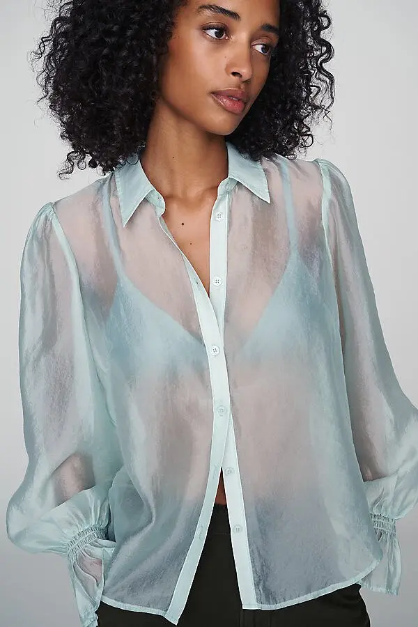Anthropologie Sheer Buttondown Blouse