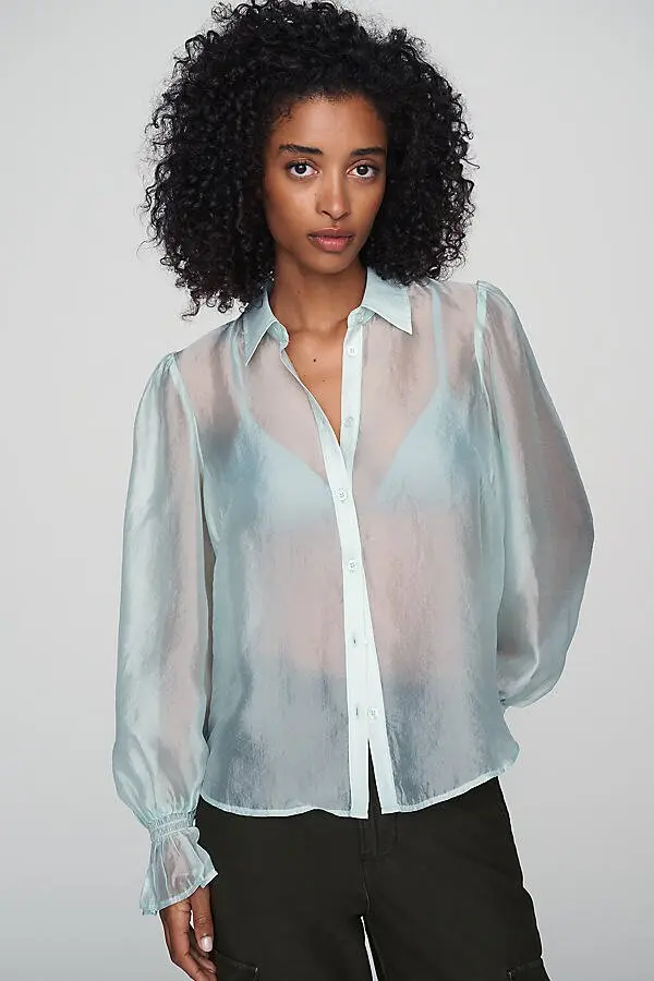 Anthropologie Sheer Buttondown Blouse