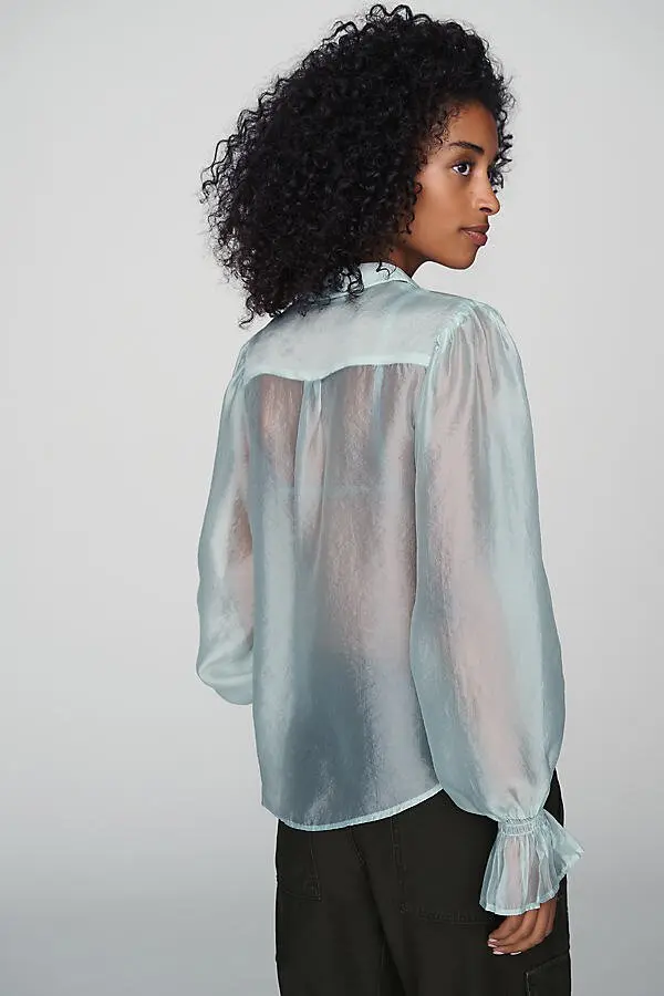 Anthropologie Sheer Buttondown Blouse