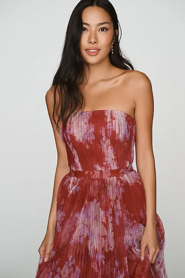HUTCH Noah Strapless Maxi Dress