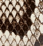 Khaite Blake Long Clutch In Python
