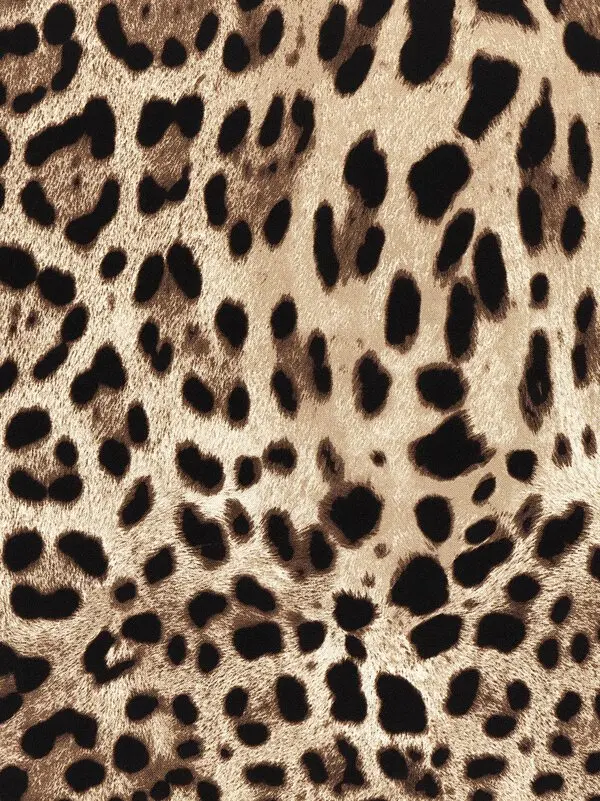 Dolce & Gabbana Leopardo' Scarf - Multicolor