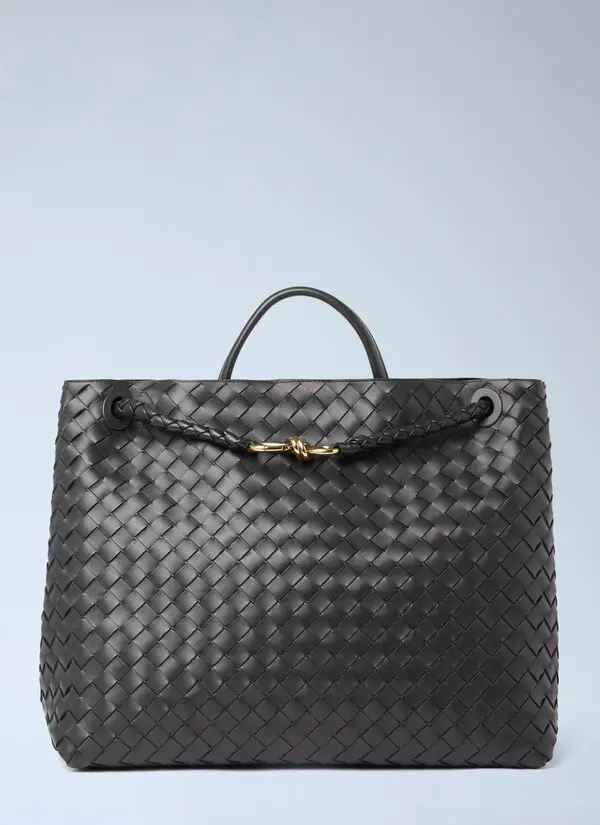 Bottega Veneta Andiamo Handbag - Black