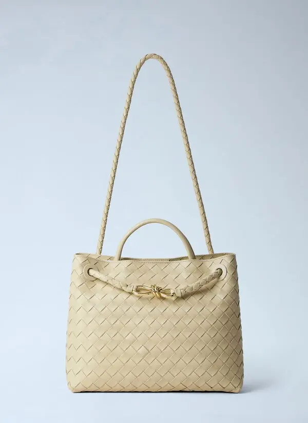 Bottega Veneta Andiamo Medium Handbag - Cream