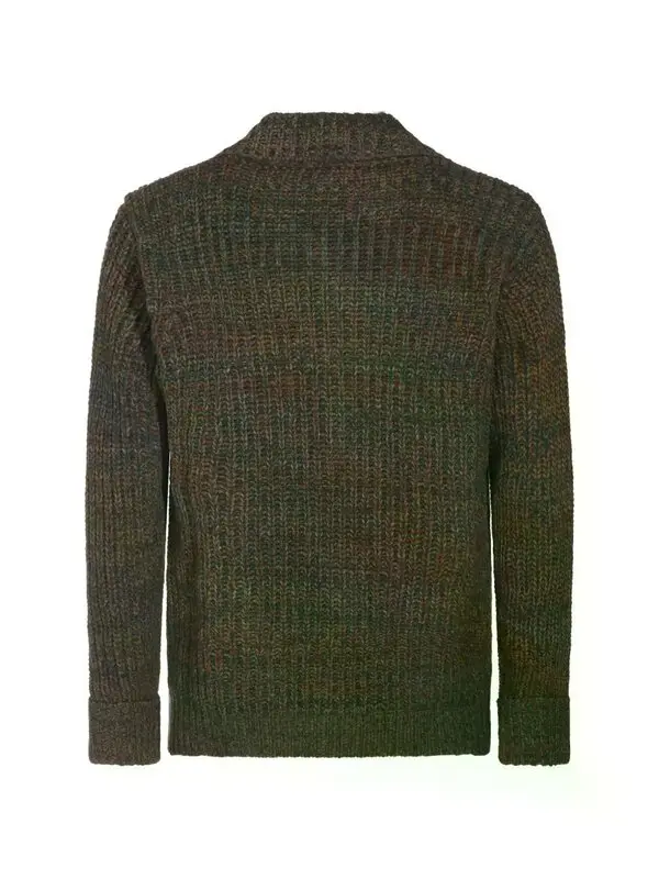 Altea Chunky-knit Button-up Cardigan