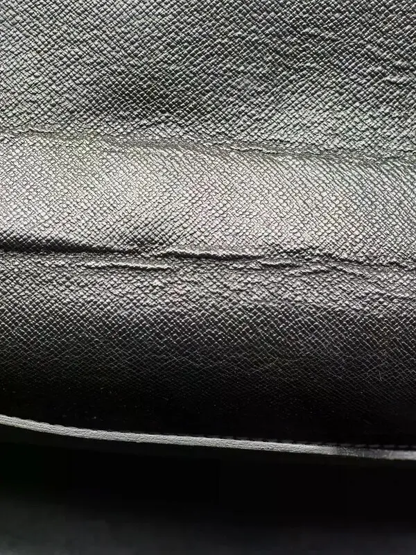 LOUIS VUITTON 2009 Robusto Briefcase