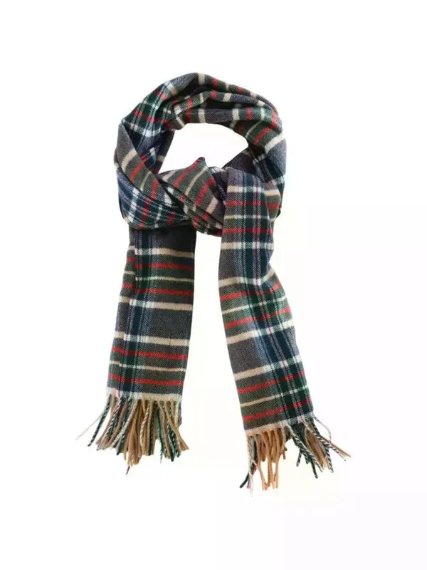 Polo Ralph Lauren Tartan-check Fringed Scarf - Blue