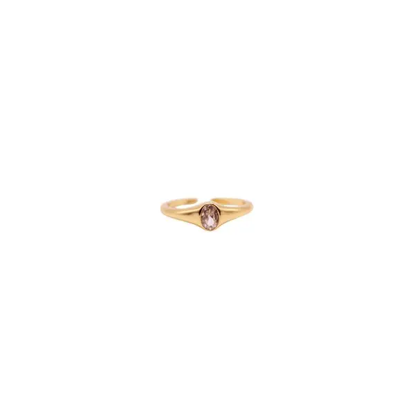 URBANE JEWELRY STUDIO Crystal Signet Ring - Gold