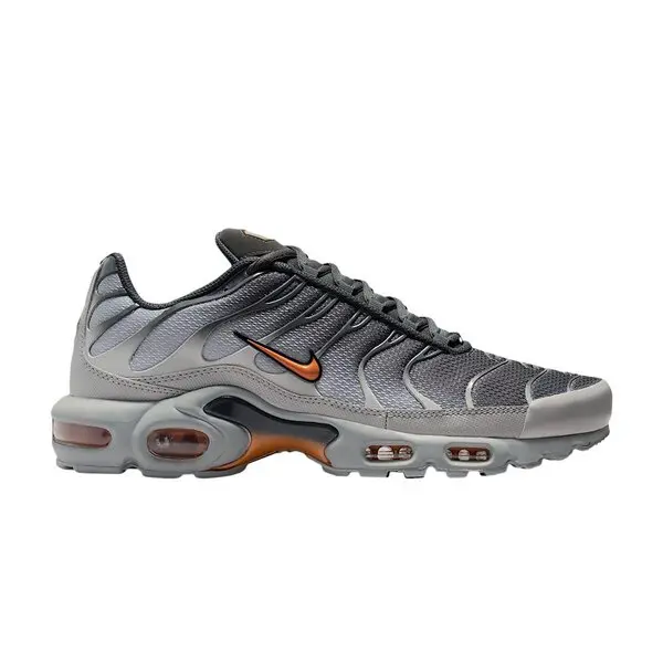 Nike Air Max Plus 'light Smoke Grey - Black