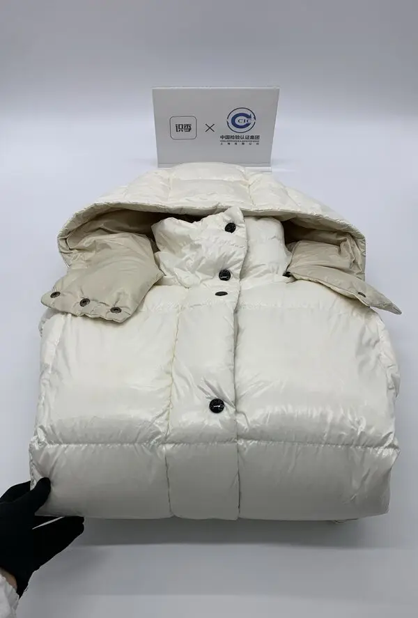 Moncler Parana Down Jacket
